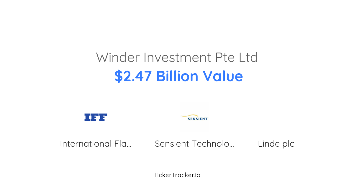 Mindlink Investment Pte Ltd | World Finance